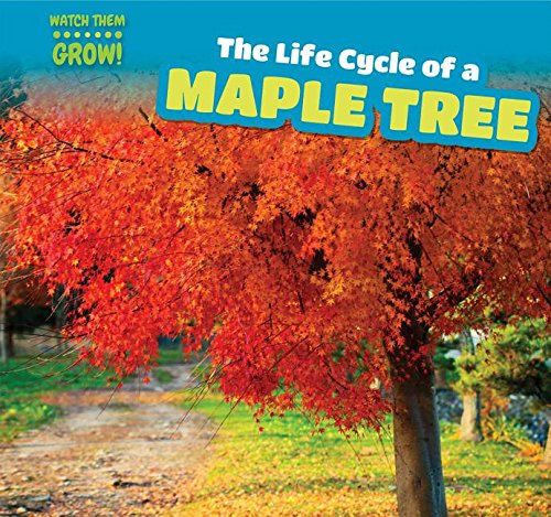 The Life Cycle of a Maple Tree (Reading Level M) | World's Biggest ...