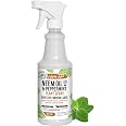Amazon.com : Mighty Mint Neem Oil & Peppermint Cold-Pressed, Natural ...