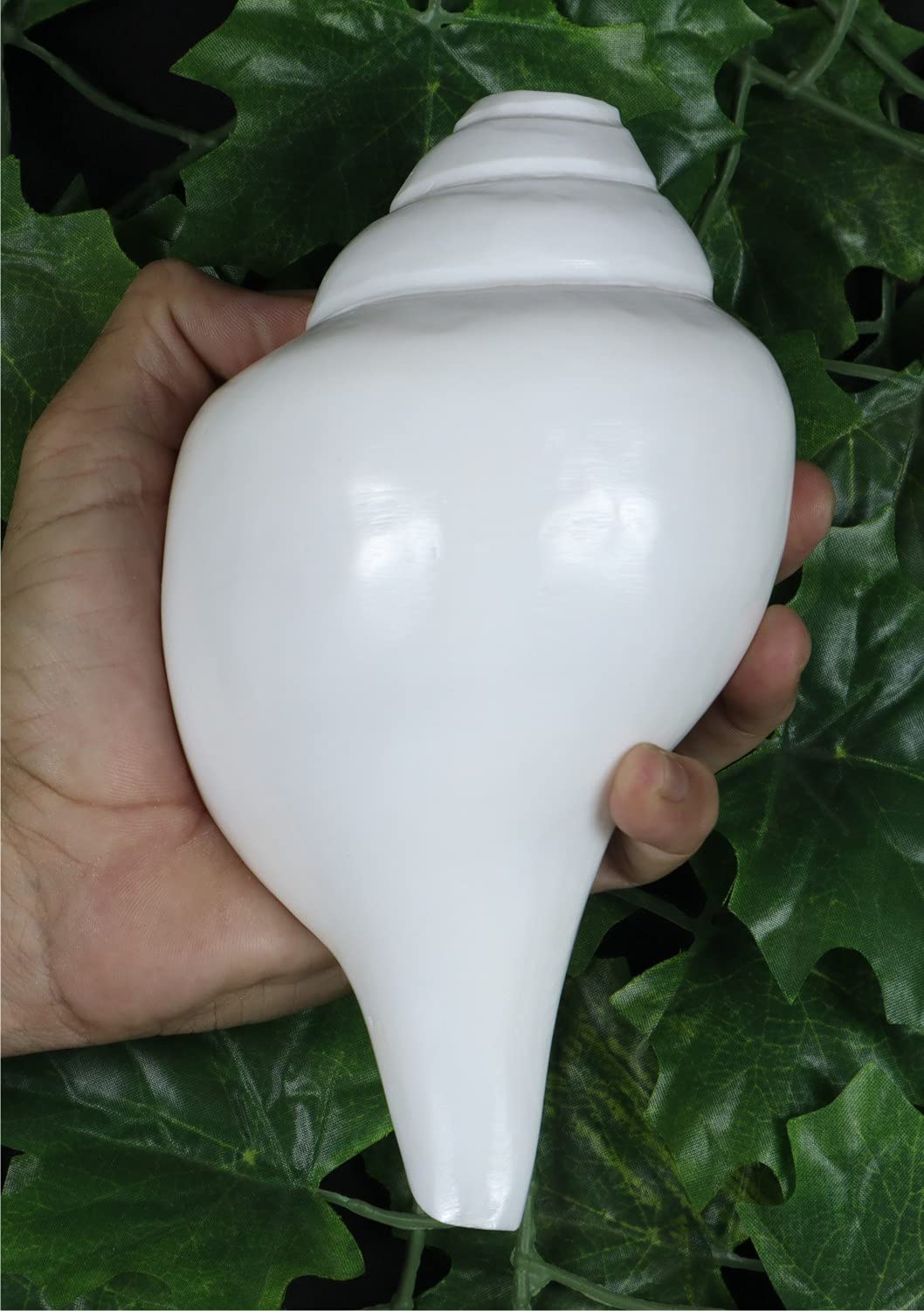 ASHIRWAD Genuine Blowing Shankh Vamavarti Dattatreya - Conch Shells ...