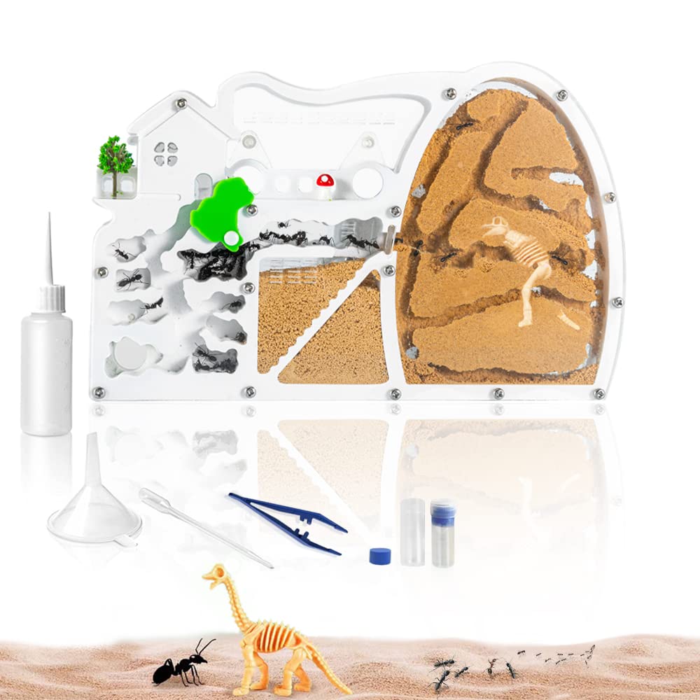 ELNMLHT Ant Farm Castle, Sand Ant Colony Observation Kit, Ant Viewing ...