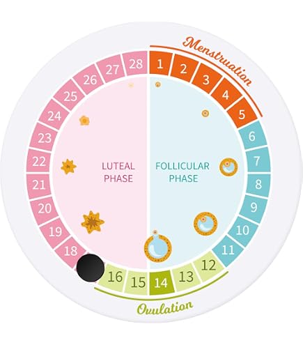 Menstrual Cycle Calendar Chart Period Calculator | Track Your Period