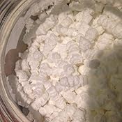 Amazon.com : Galeffi, Effervescent Antacid, 8.8 oz (250g) : Brioschi ...