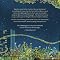 The Comet: Todd-Stanton, Joe: 9781838740658: Amazon.com: Books