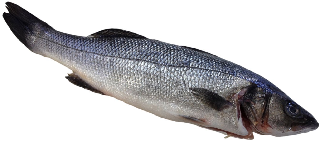 Dry Dock Fish & Seafood, Fresh Whole Branzino Sea Bass on Galleon ...