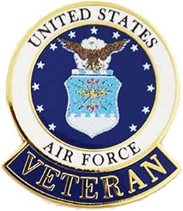 Amazon.com: US Air Force Veteran Lapel Pin : Clothing, Shoes & Jewelry