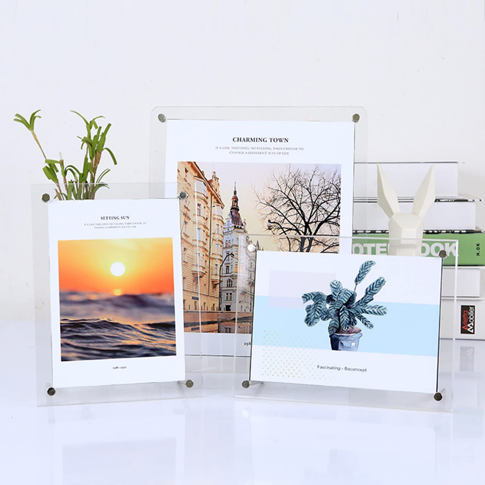 Mua Acrylic Photo Frame, A4, Clear Acrylic, Picture Frame, Colored ...