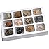 Amazon.com: American Educational 15 Piece Sedimentary Rock Collection ...