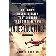 Indestructible: Bruning, John R.: 9780316339414: Amazon.com: Books