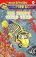 The Fishy Field Trip (The Magic School Bus Chapter Book, No. 18 ...