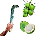 Amazon.com: Coconut Breaker Cutting Knife, Set Of 2 Opener Hole Tool ...