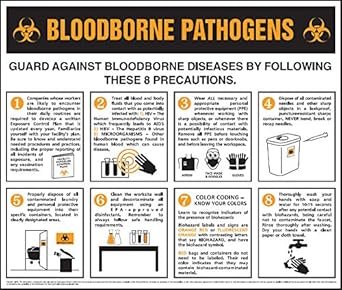 Bloodborne Pathogens Information Wall Chart: Amazon.com: Industrial ...