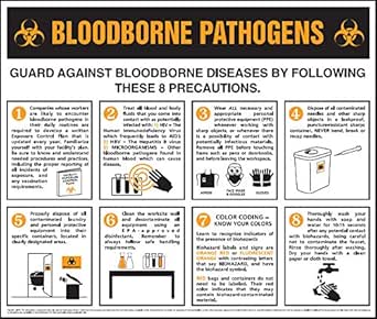 Bloodborne Pathogens Information Wall Chart: Amazon.com: Industrial ...