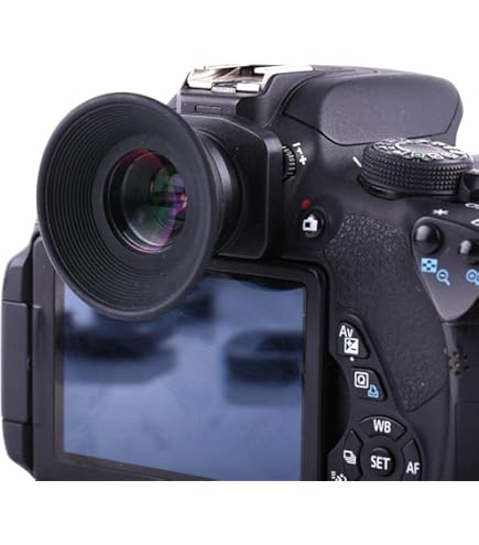 Camera Screen Magnifier
