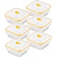 Amazon.com: Collapse-it Silicone Food Storage Containers - BPA Free ...