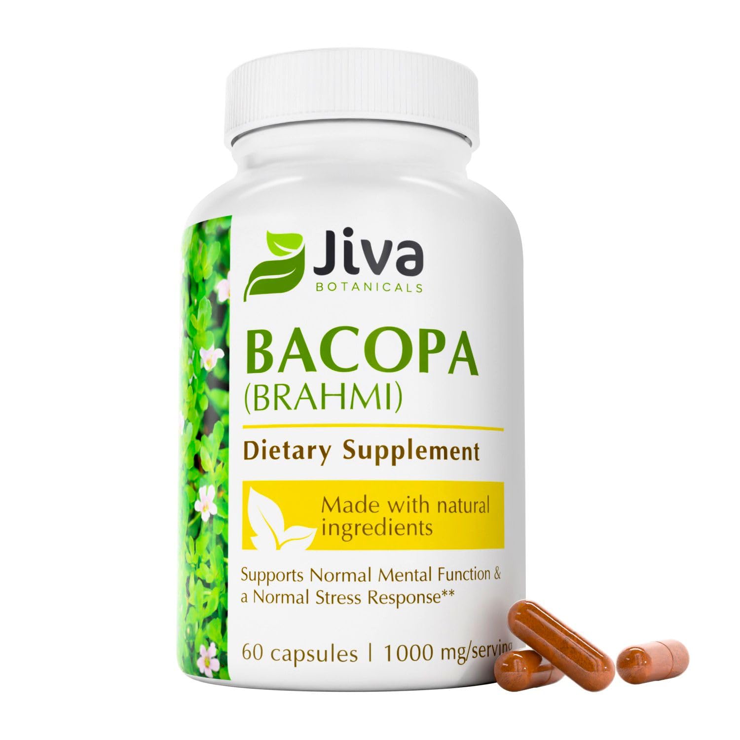 Mua Jiva Botanicals Bacopa Monnieri Supplement Pure 1000mg per Serving ...