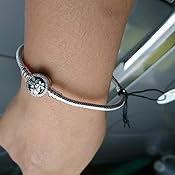 Amazon.com: Pandora Bracelet 590744CZ-17 Female Flower Poetic: Jewelry