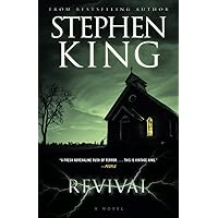 Duma Key: A Novel: King, Stephen: 9781416552963: Amazon.com: Books