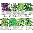 Amazon.com : Basil Seed Packet Collection (8 Individual seed Packets ...