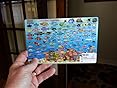 Great Exuma Bahamas Dive Map & Reef Creatures Guide Franko Maps ...