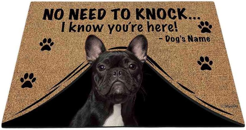 Amazon.com : BAGEYOU Personalized Dog's Name Outdoor Doormat with My ...