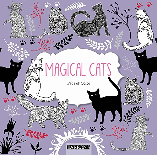 Amazon.com: Magical Cats (Pads of Color): 9781438009308: arsEdition: Books