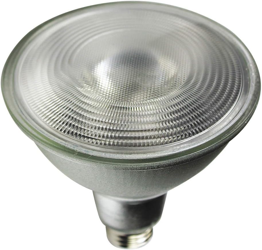 Philips LED Classic Glass Dimmable PAR38 40-Degree Flood Light Bulb ...