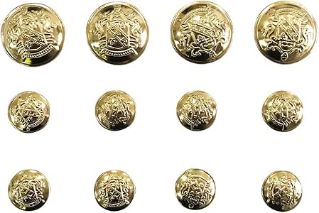 Amazon.com: 12 Pieces Vintage Metal Coat Button Set with Shank - for ...