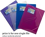 Rexel Ice Four Fold Flap File Assorted Colours (4 Pack): Amazon.co.uk ...