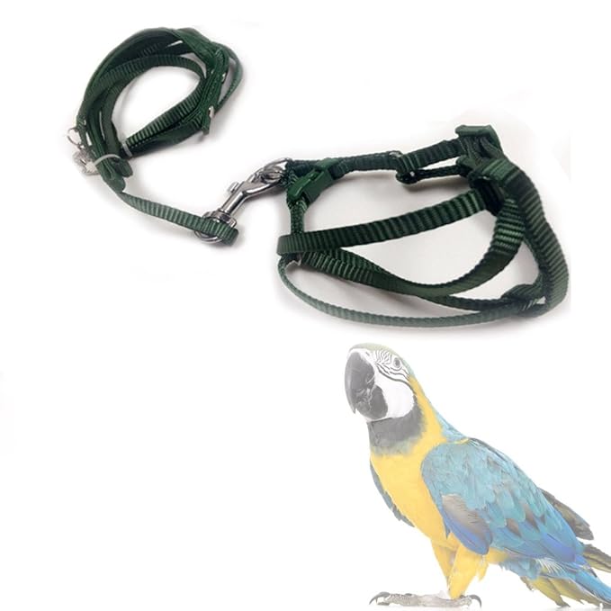 ASOCEA Adjustable Feather Tether Bird Harness and Leash for Small to ...