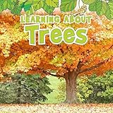 A Tree for Me: Nancy Van Laan, Sheila White Samton: 9780440417552 ...
