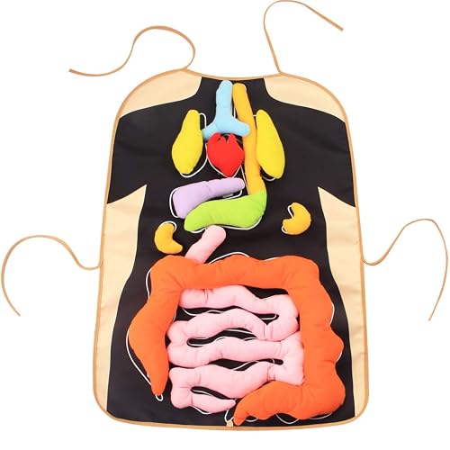 KAKIBLIN Human Body Model for Kids, Plush Anatomy Doll with Removable ...