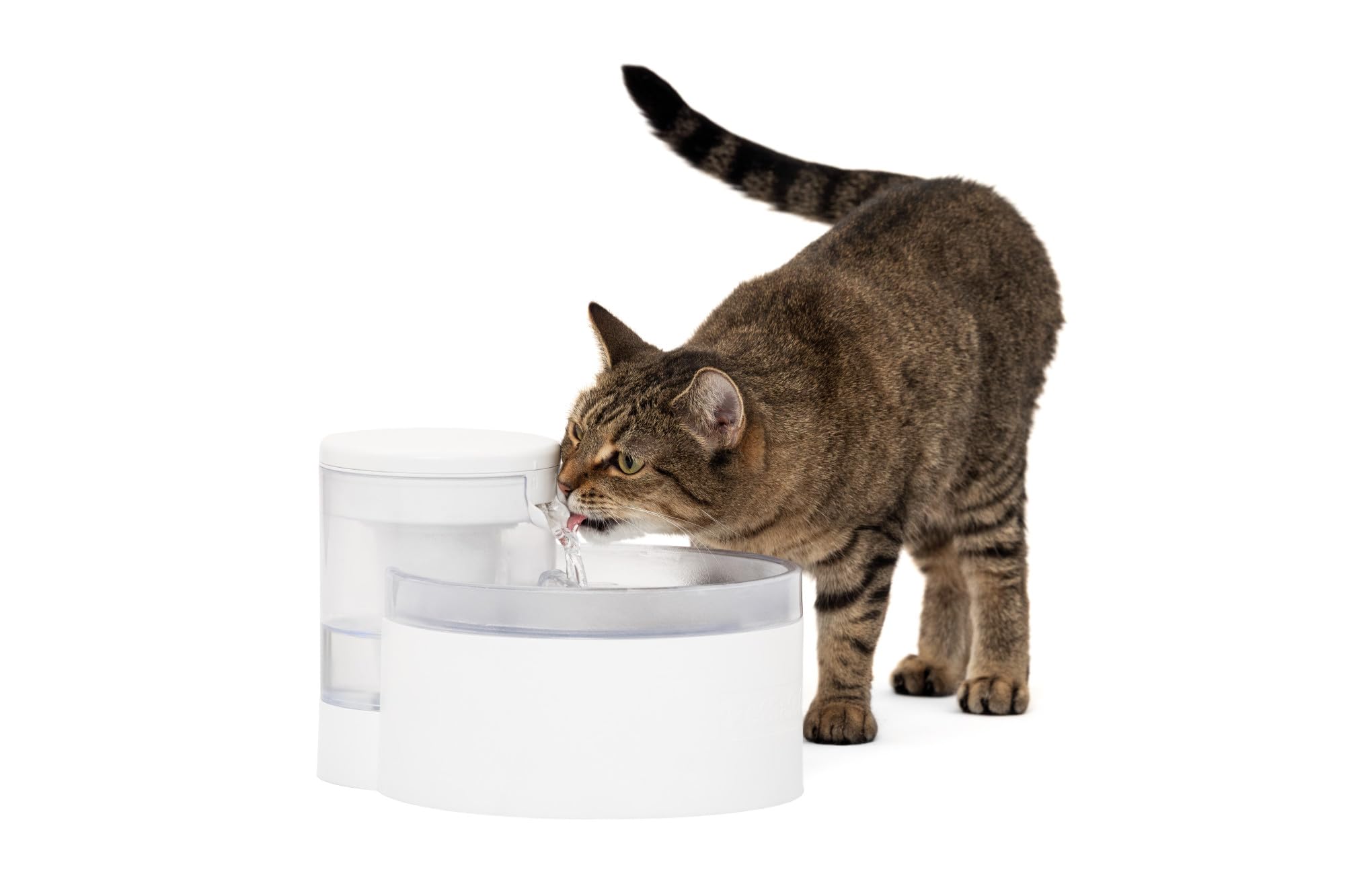 PetSafe Outlast Pumpless Cat Water Fountain 60 oz/1.7L– Indoor Water ...