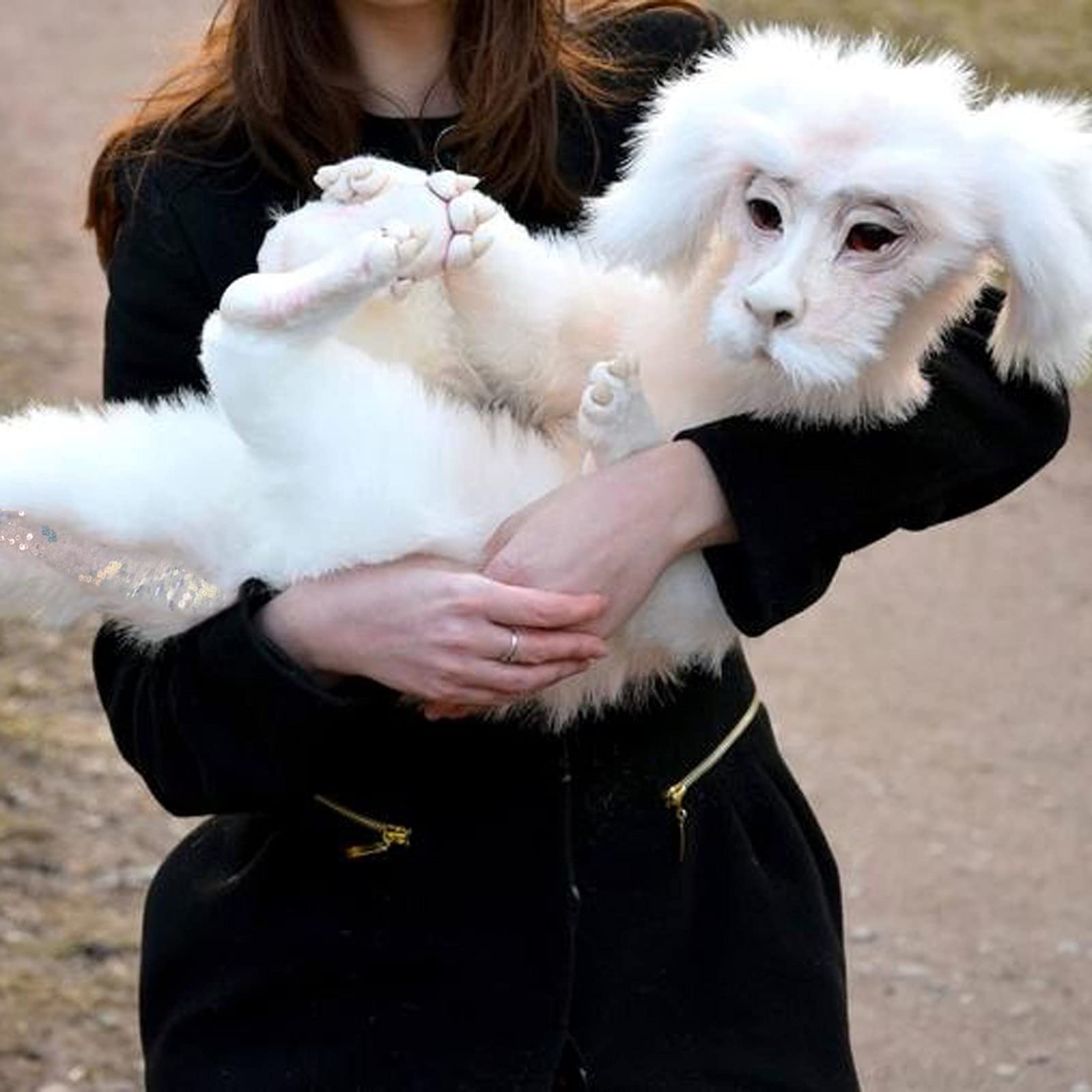 Mua Falkor Luck Dragon Plush Toy, Handmade Neverending Story Stuffed ...
