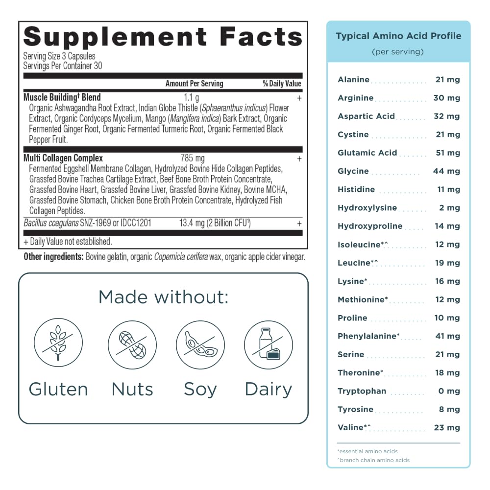 Mua Ancient Nutrition Advanced Multi Collagen Protein Capsules Muscle ...