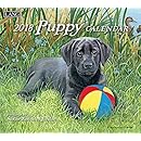 Amazon.com : LANG - 2018 Wall Calendar - "Puppy", Artwork by Susan ...