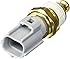 Amazon.com: Formula Auto Parts CTS5 Coolant Temperature Sensor: Automotive