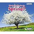 Amazon.com: What Can You See in Spring? (Seasons): 9781484603543: Smith ...