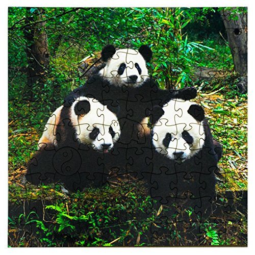 Panda Jigsaw Puzzles | Kritters in the Mailbox | Panda Jigsaw Puzzle