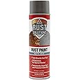 Amazon.com: AGS RUST SOLUTIONS Pintura en aerosol óxido, 14 onzas ...