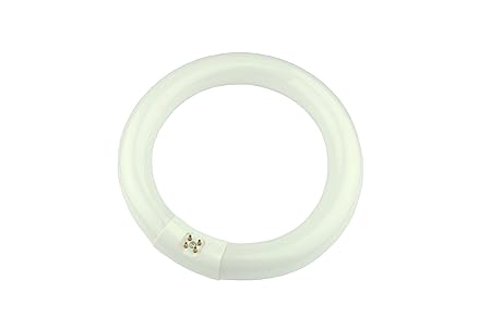 Jinn Lighting Fcl22w Daylight | Shelly Lighting