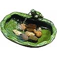 Amazon.com: Smart Solar 22300R01 Solar Powered Ceramic Frog Water ...