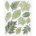 Amazon.com: Multiple Green Leaves Clear Stamp for Card Making Maple ...