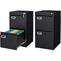 Amazon.com: heycode 2 Drawers File Cabinet with Lock, Vertical Filing Cabinets for Home Office ...