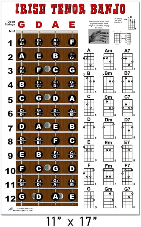 Amazon.com - A New Song Music Irish Tenor 4 String Banjo Fingerboard ...