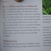Midwest Medicinal Plants: Identify, Harvest, and Use 109 Wild Herbs for ...