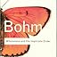 Wholeness and the Implicate Order (Volume 135): David Bohm ...