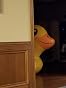 Amazon.com: Intex Mega Yellow Duck, Inflatable Island, 87" X 87" X 48 ...