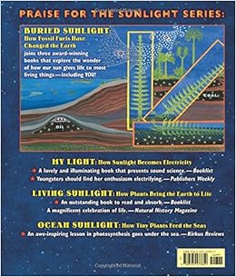 Buried Sunlight: How Fossil Fuels Have Changed the Earth: Molly Bang ...