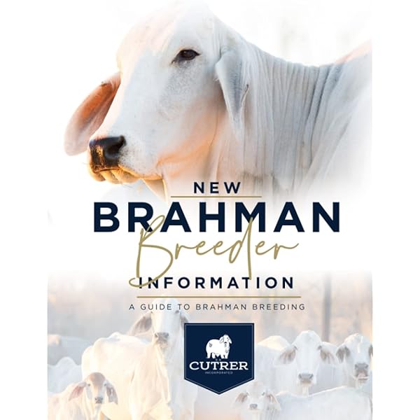 Brahman