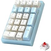 Amazon.com: BOYI TD21 Hot Swappable Numpad,21 Keys Mini Numpad Portable Keypad Bluetooth 5.0/2 ...